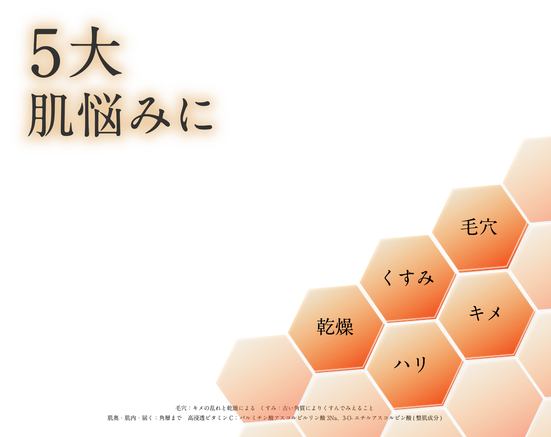 新・VC100エッセンスローションEX - 2月17日新発売 - 史上最高濃度！2倍になった高浸透ビタミンCローション｜ドクターシーラボ